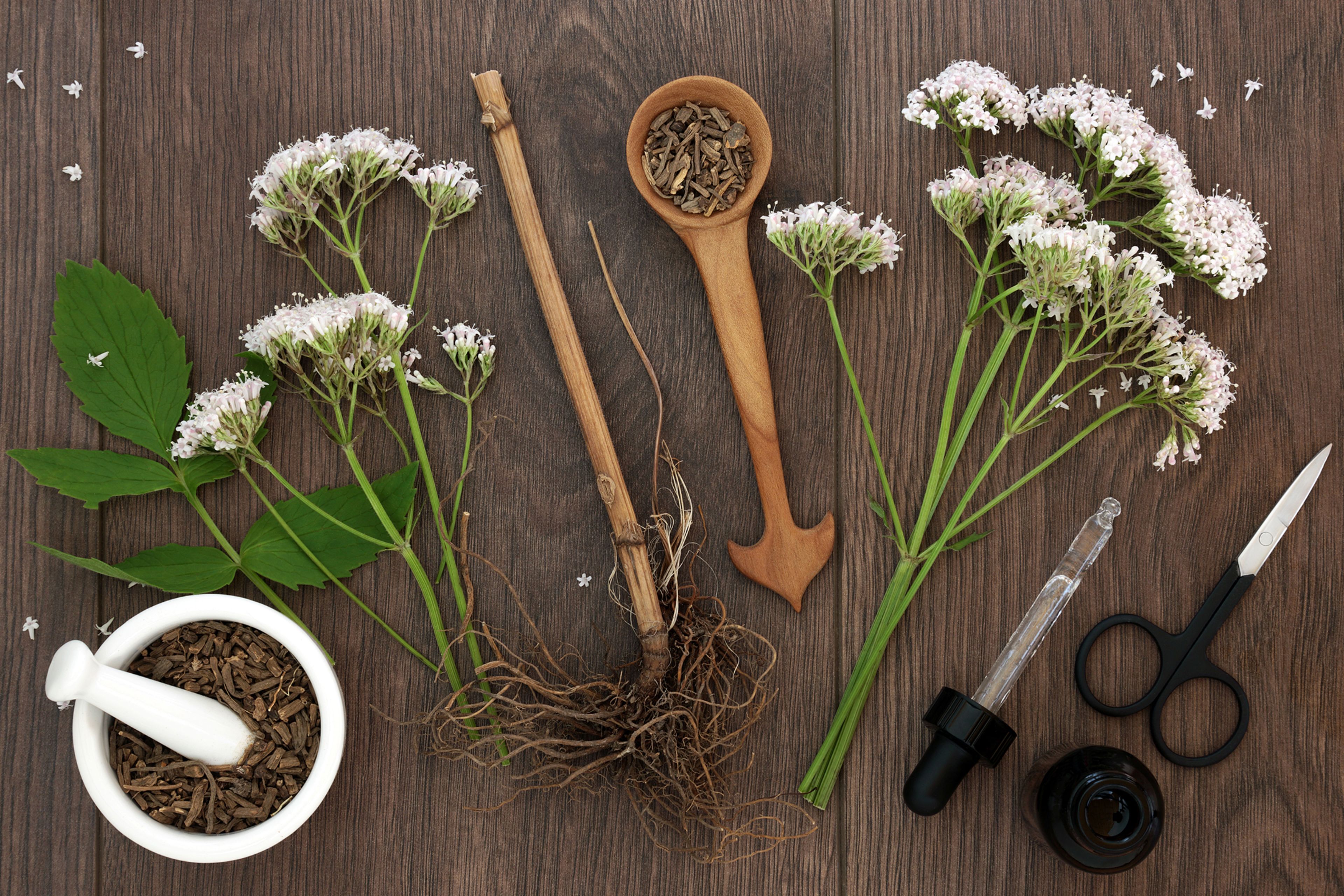 Baldrian Tropfen für die Nacht: Anwendung und Nebenwirkungen | Migros ...