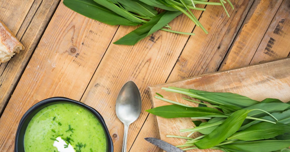 Ail des ours: propriétés, infos et recettes | Migros iMpuls