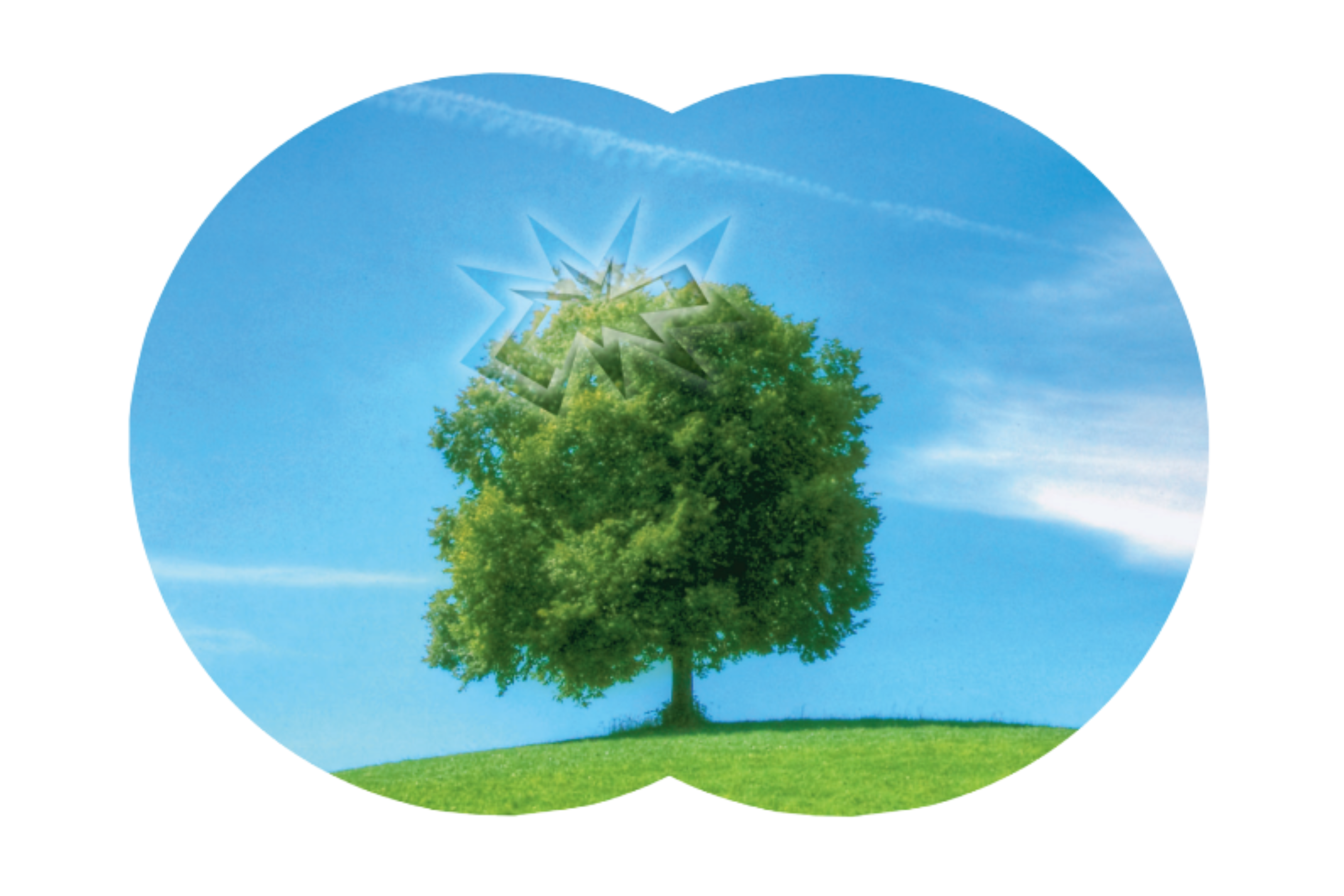Tout sur les scintillements oculaires | Migros iMpuls