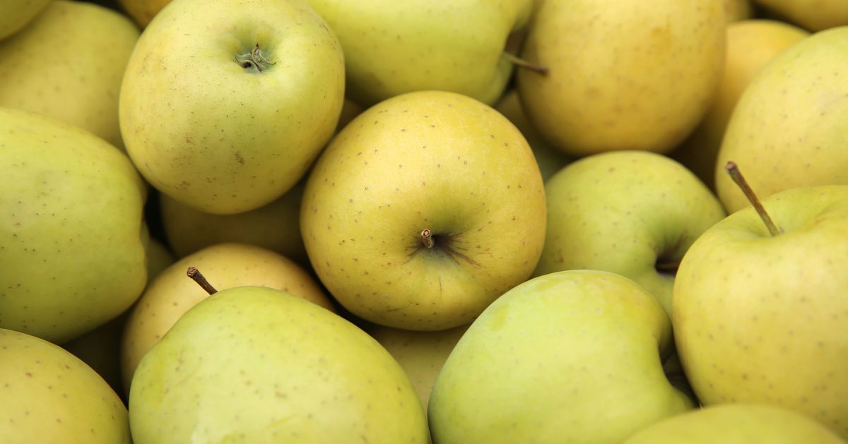 Pomme – calories, nutriments et recettes | Migros iMpuls
