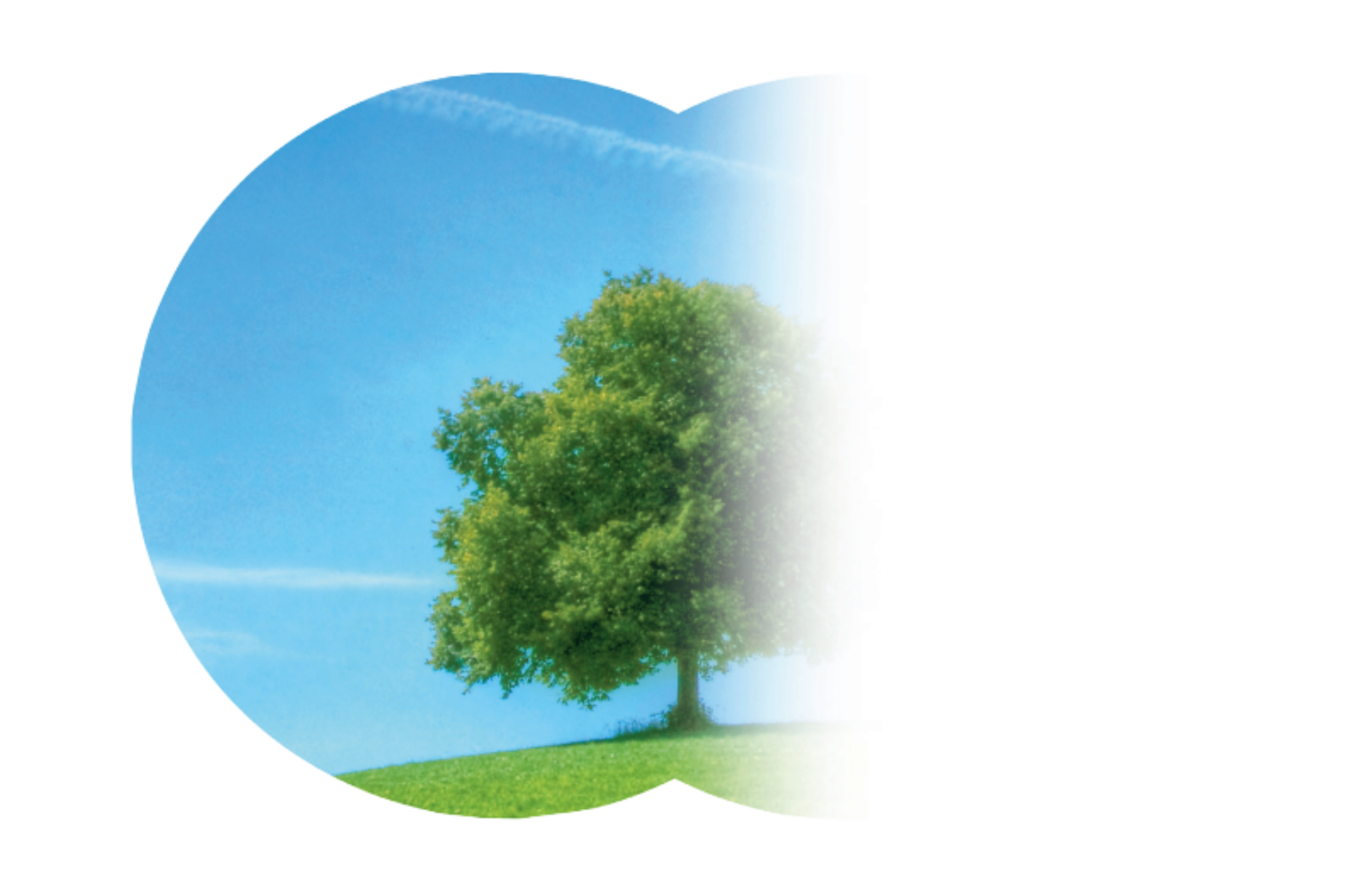 Tout sur les scintillements oculaires | Migros iMpuls