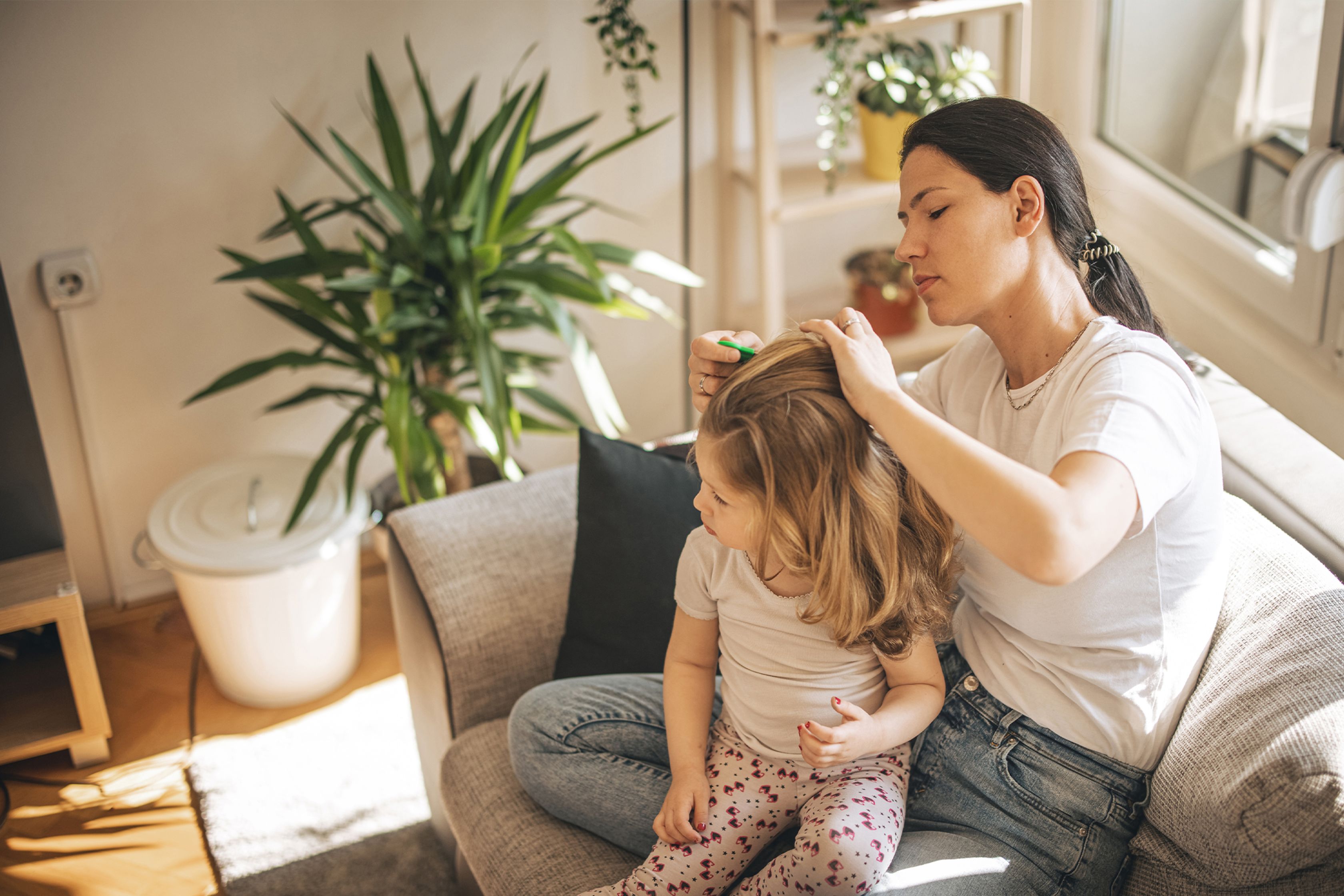 Läuse erkennen und bekämpfen: So klappt es | Migros iMpuls