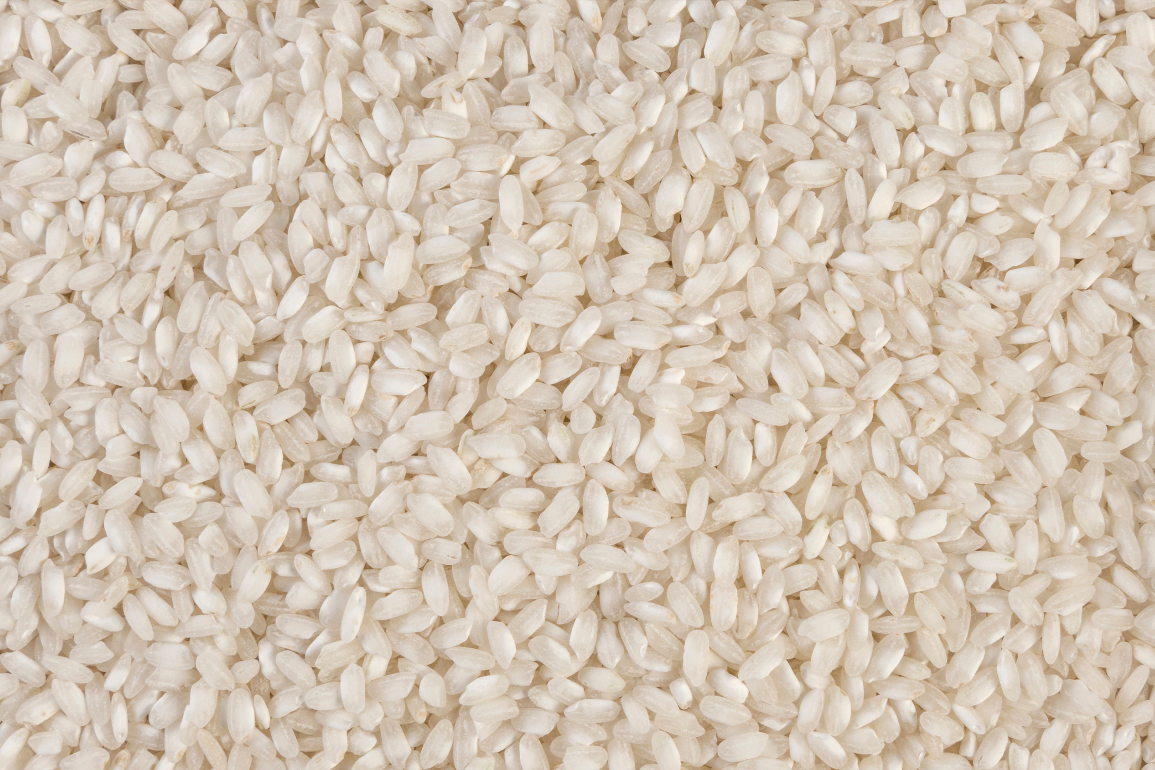 Riz – variétés & valeurs nutritives & recettes | Migros iMpuls