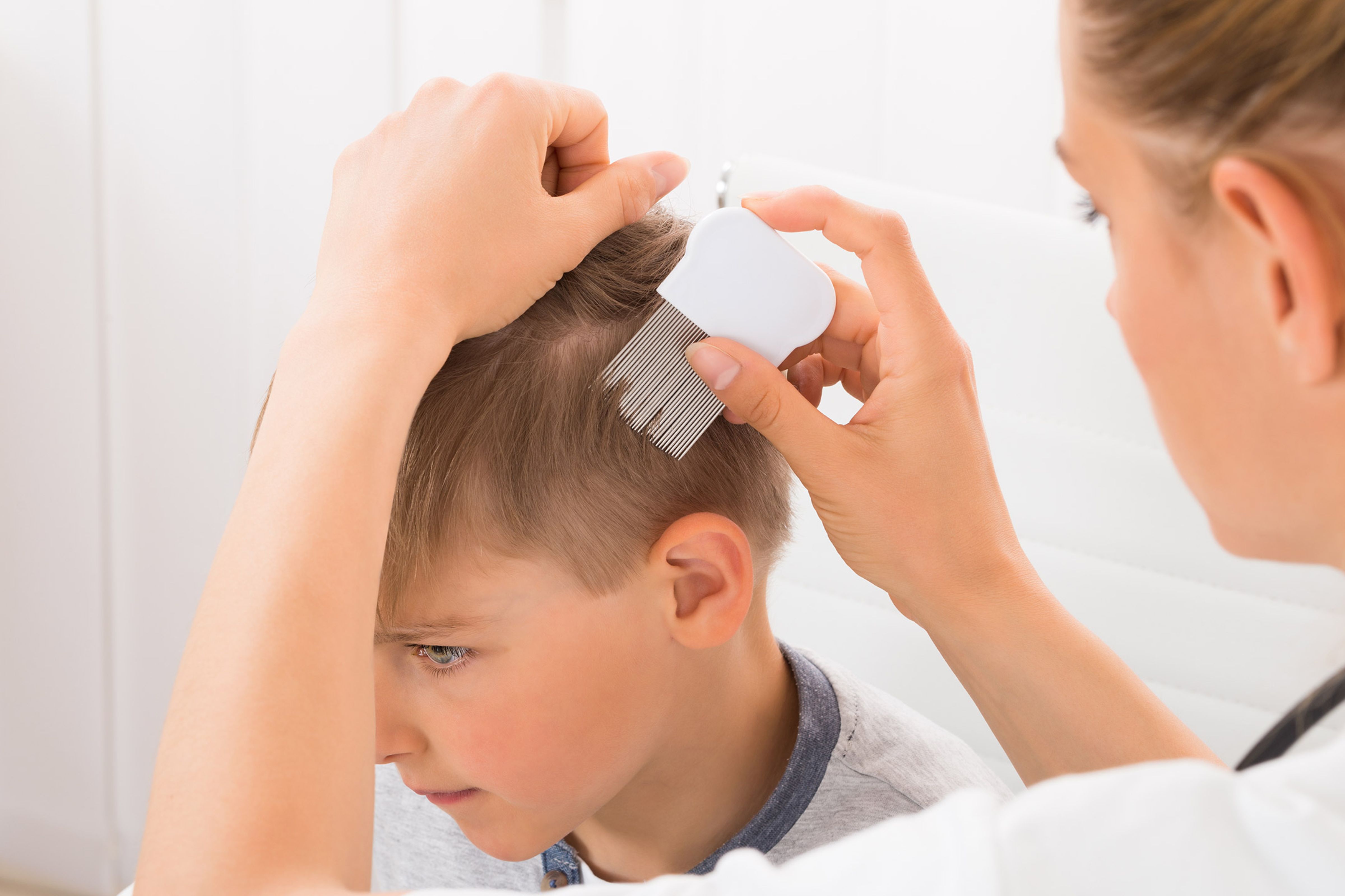 Läuse erkennen und bekämpfen: So klappt es | Migros iMpuls