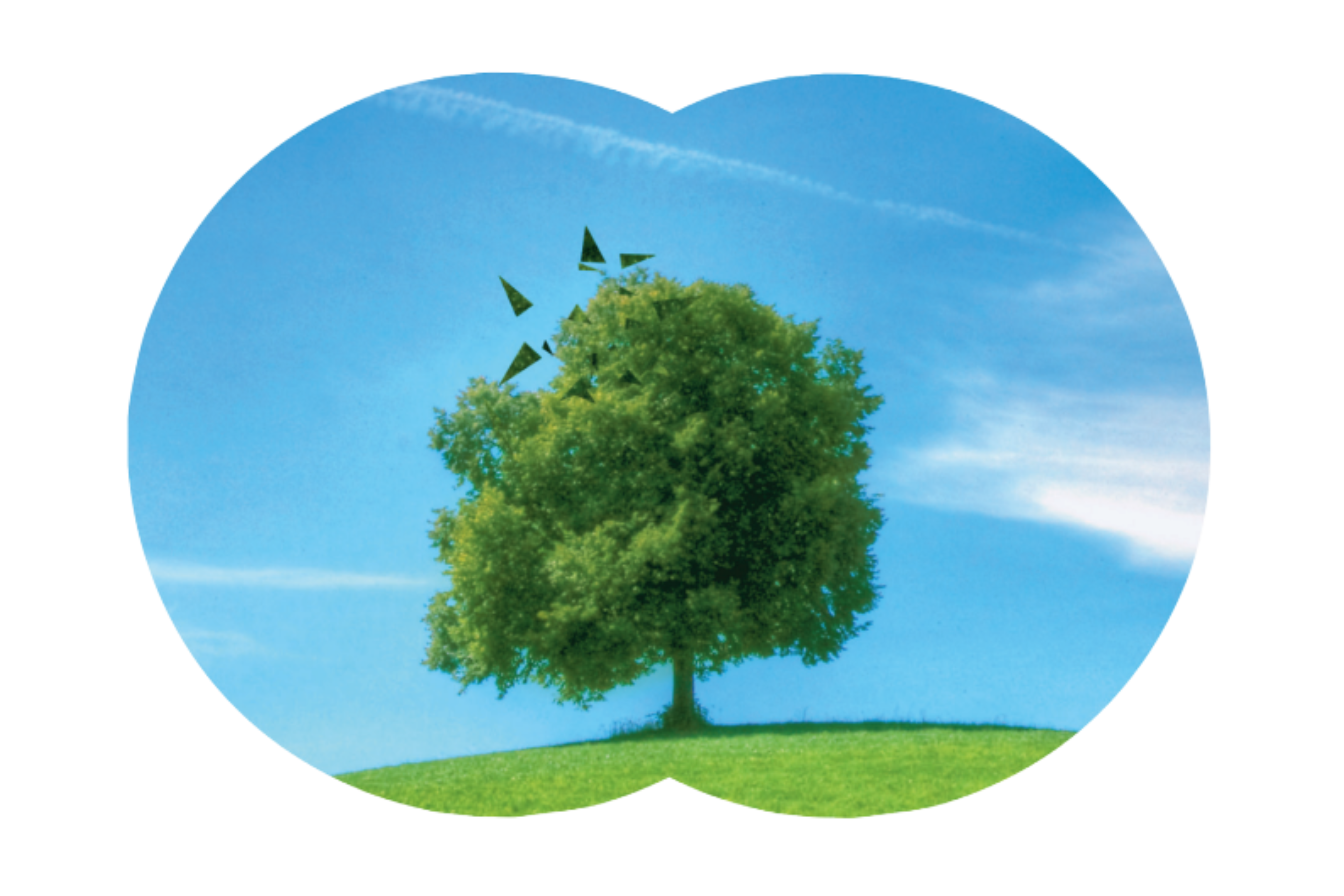 Tout sur les scintillements oculaires | Migros iMpuls