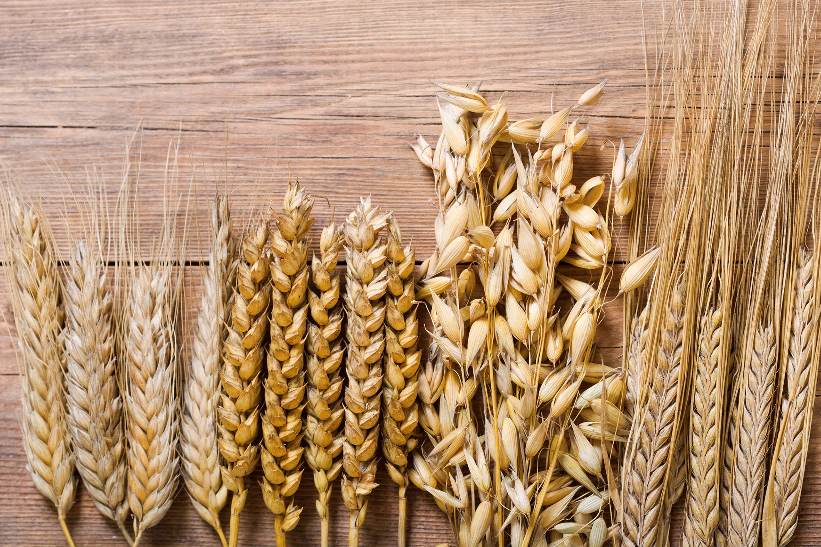 Weizen, Dinkel und Roggen: die Unterschiede | Migros iMpuls