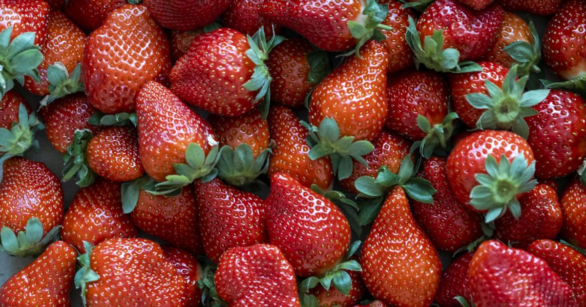 Fraise – calories, nutriments et vitamines | Migros iMpuls