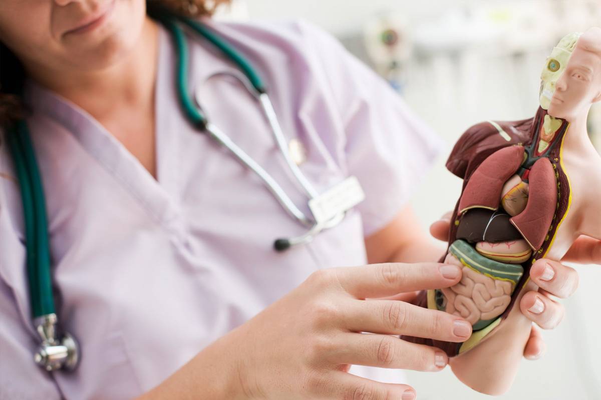 Medizin: Prävention, Beschwerden, Krankheiten & Co | Migros iMpuls