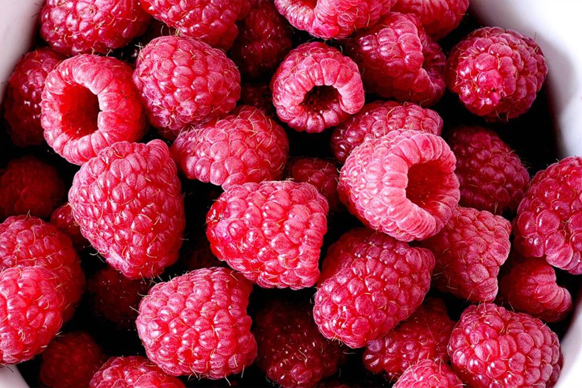 Himbeeren – Kalorien, Vitamine und Nährwerte | Migros iMpuls