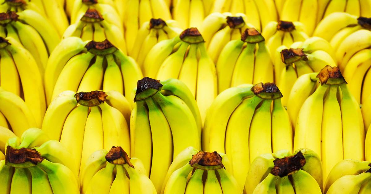 Banane: Nährwerte, Vitamine und Kalorien | Migros iMpuls