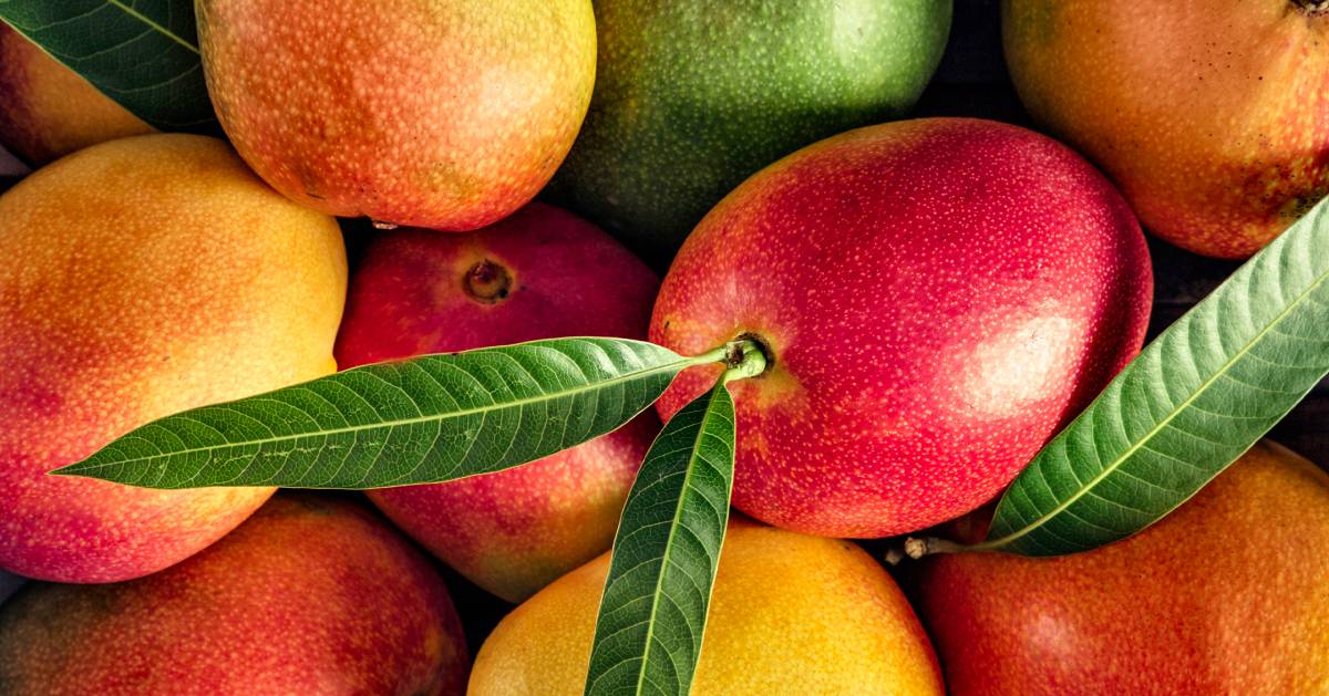 Mango: Vitamine, Nährwerte und Rezepte | Migros iMpuls