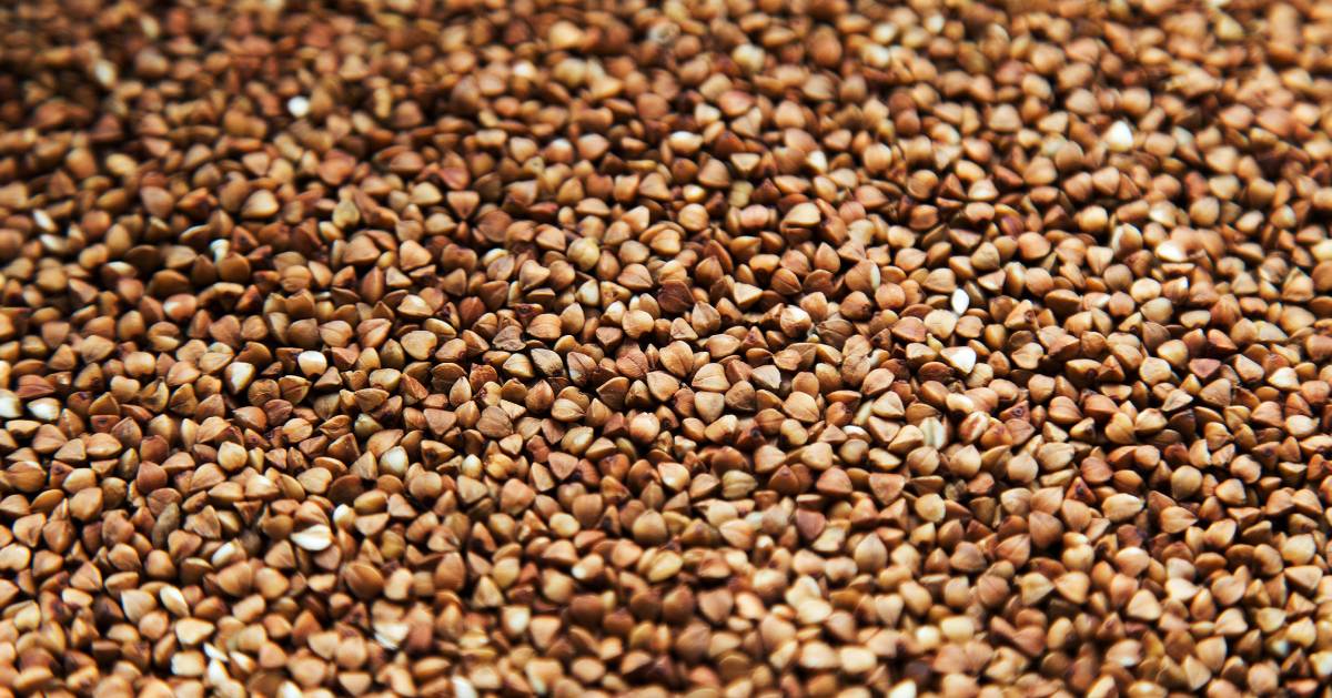 Buchweizen: Nährwerte und glutenfreie Rezepte | Migros iMpuls