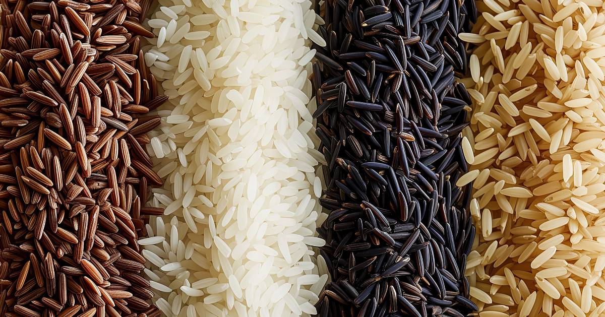 Reis: Sorten & Nährwerte & Rezepte | Migros iMpuls